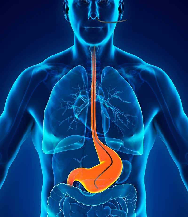 CENDOFIG - Exames Endoscopia Colonoscopia Phmetria Manometria